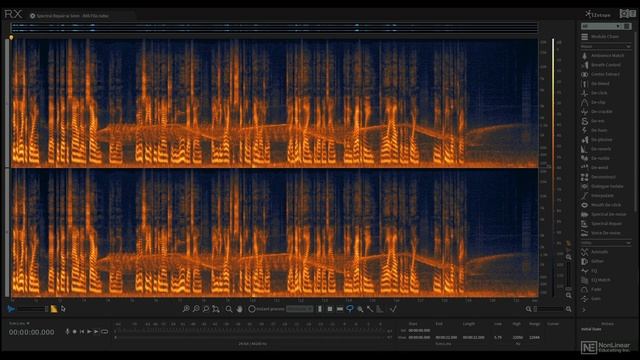 17. Spectrogram I - The Display