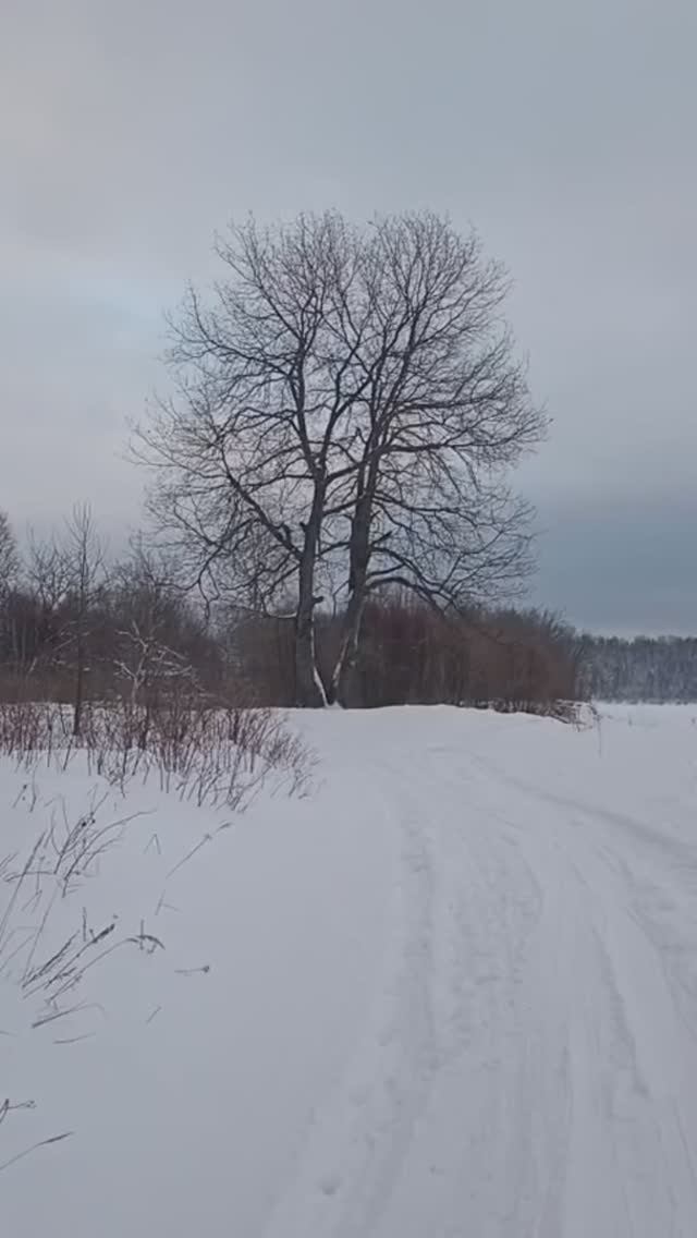 Зимний сон реки Вятки.