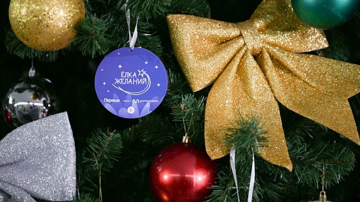 В акции «Елка желаний» приняли участие заместители Министра внутренних дел Российской Федерации