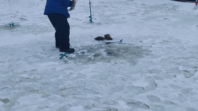 Светлые Горы Форель3 05.01.2026г.