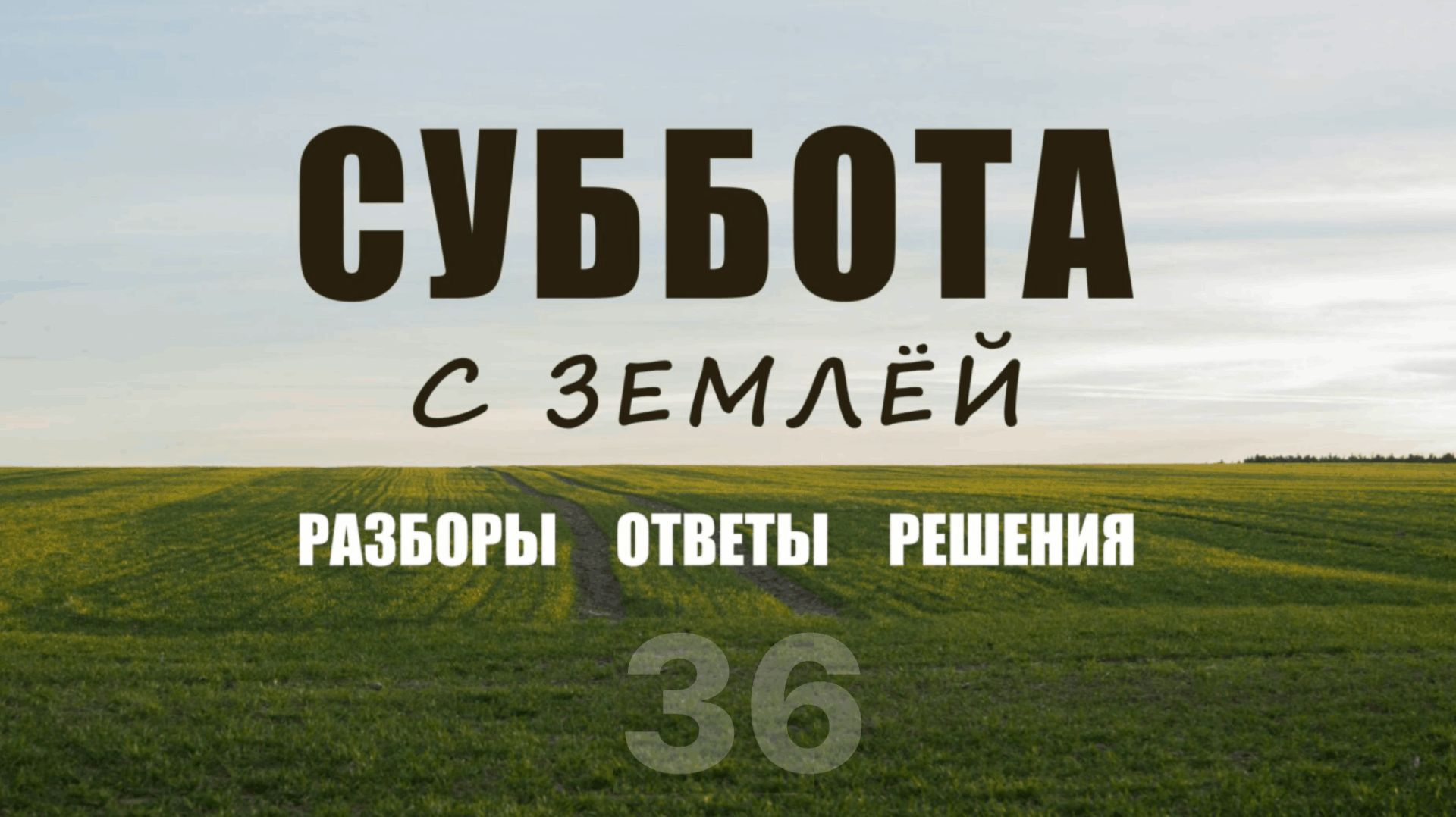 Ярославский район: участок у Волги с подтоплением — продавать или зарабатывать?