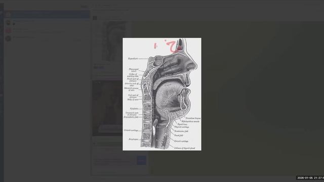 Арабский алфавит 🔴 Урок № 10