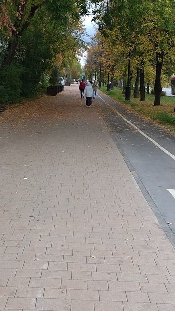 №719 ул. Сибирская. 24 сентября 2025 г., 13:52:30 VID_20250924_135210766