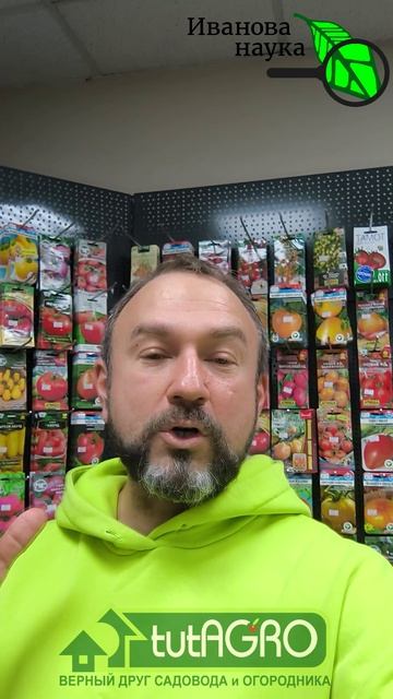 Какой сорт томата лучший? Выбираем лучший сорт томата. Как выбрать сорт томата.