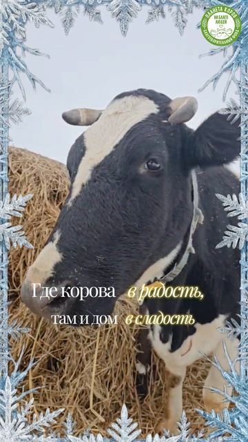 Где корова в радость, там и дом в сладость