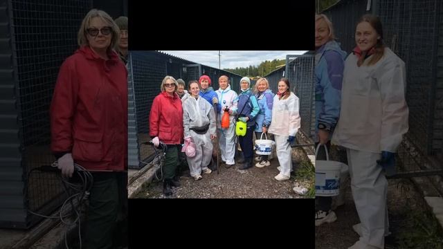 Доброта и добрые дела это кайфово!