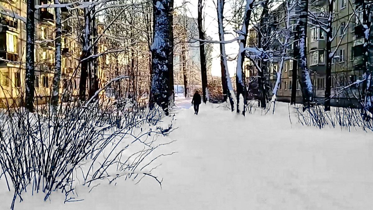 Зимние дворы. Снег, снег, снег...