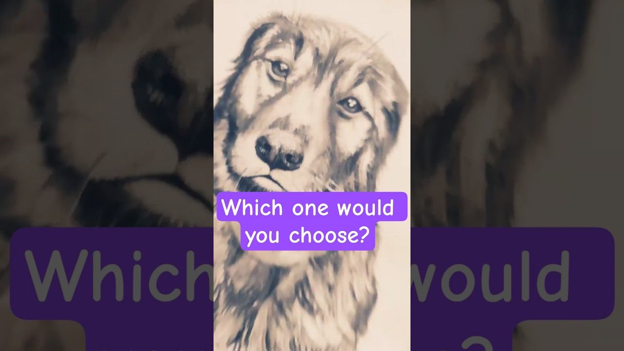 Мои открытки 2025 года.....