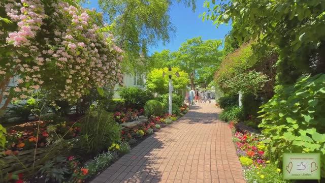 Летний тур по острову Макино | Потрясающие сады, Конные экипажи, Виды на воду, Умиротворяющие пейзаж