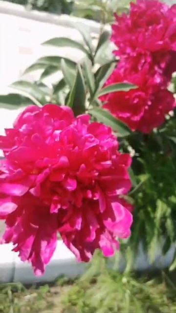 Порадуйте свои глаза!