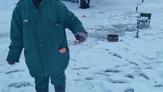 Светлые Горы Форель2 05.01.2026г.