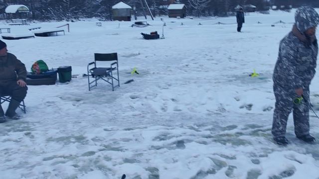 Светлые Горы Форель 05.01.2026г.