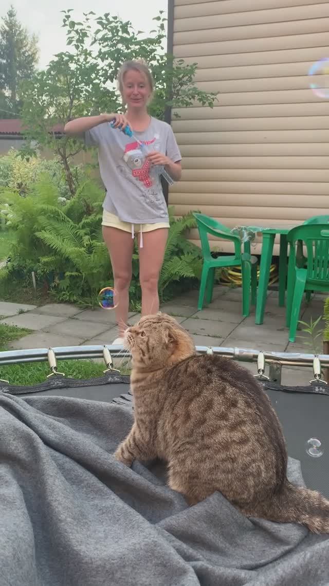 Сергей и Алиса | История двух сердец | Дачные видеозарисовки | Мыльные пузыри и Лёля