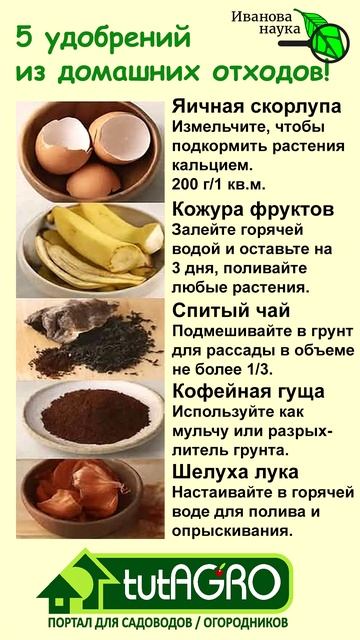 5 домашних удобрений прямо из мусора! Чем усилить действие домашних удобрений.