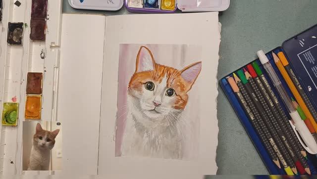 🧡Кот Твикс🧡  #рисунок Как рисовать котика Акварелью. Cute cat draw. Drawing a red cat in watercolo