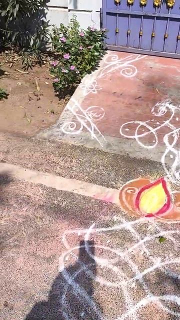 Мои соседи в Индии каждый день обновляют вход в дом новыми замысловатыми рисунками.