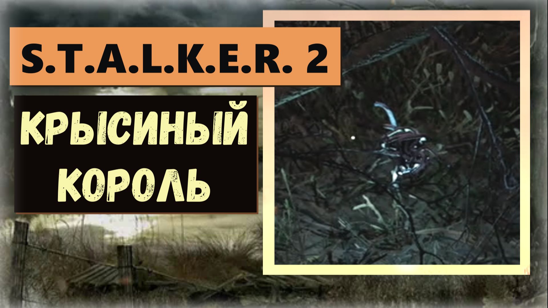 S.T.A.L.K.E.R. 2: Heart of Chornobyl  Где забрать редкий артефакт "Крысиный король" бонус в описании