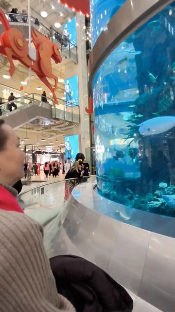 самый высокий в Мире аквариум - рекорд Гиннесса #аквариум #рекордыгиннесса #мировыерекорды