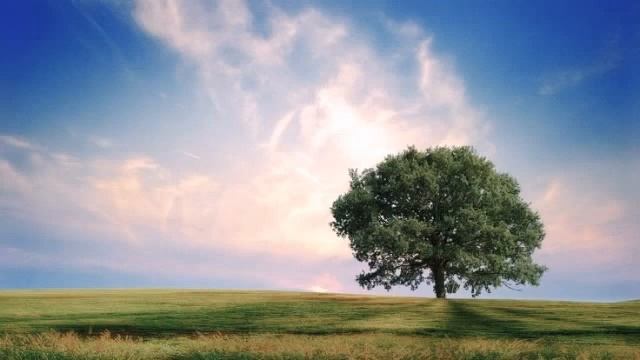 Թեև թզենին չծաղկի, հոգևոր երգ, hwgevor erg