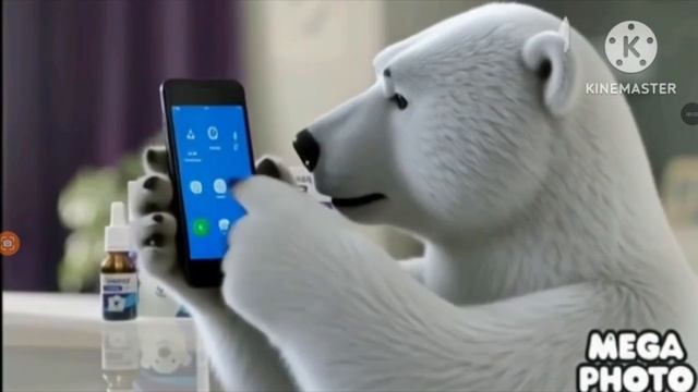 Медведь сиалор и скачать MAX