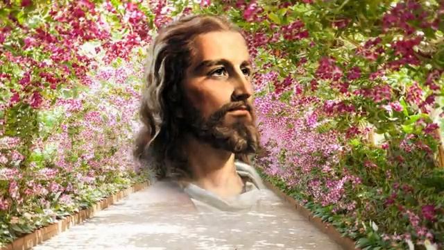 Я взял на себя грехи мира, но главное, что я сделал, это указал вам Путь