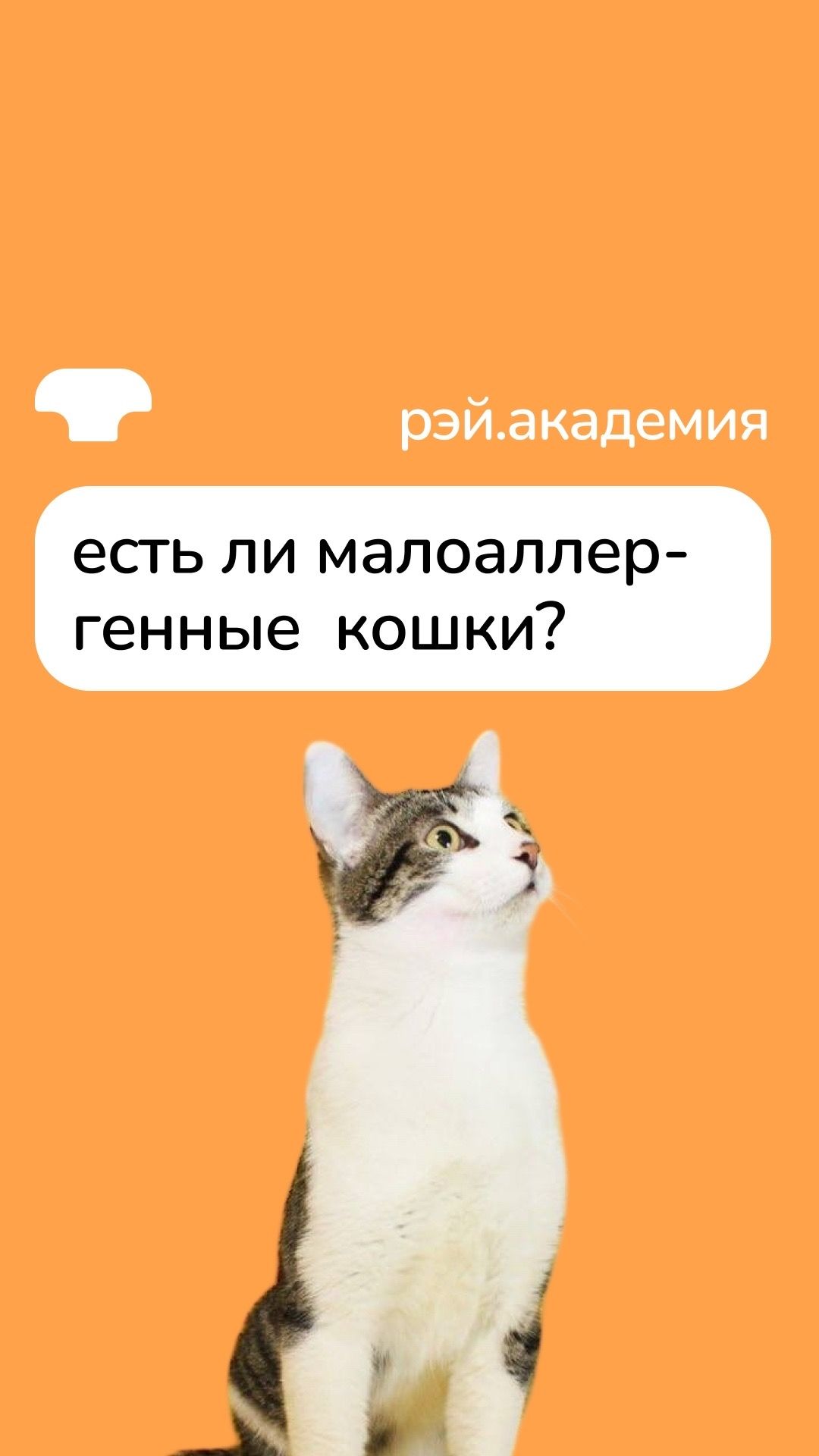 У вас аллергия на животных, но так хочется завести питомца?