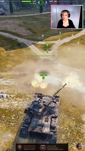 Wilk и камушек