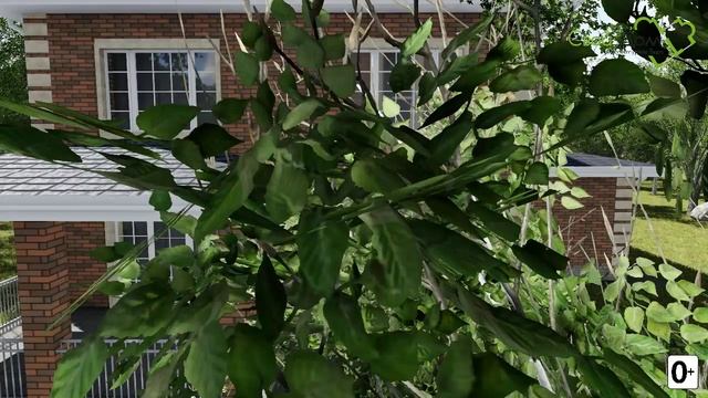 Проект дома с навесом для машины D-134