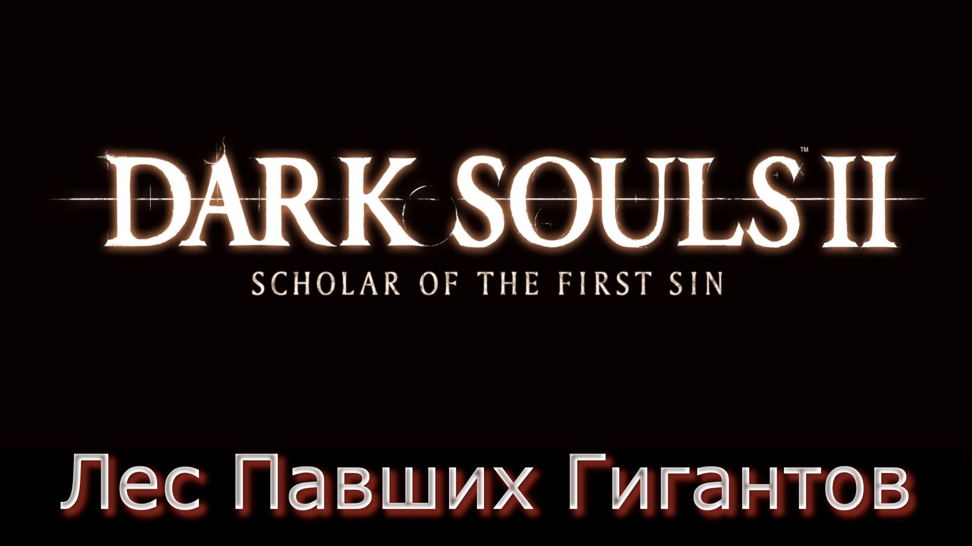 Dark Souls 2 SOTFS Прохождение_2