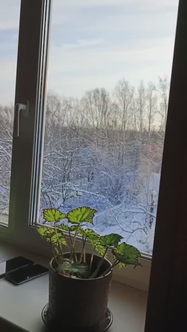 Хорошо на улице...