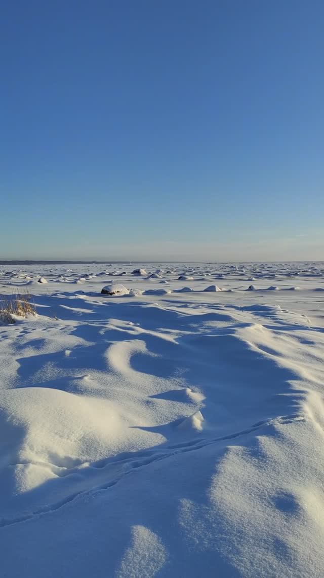 Первый лёд Финский залив / Северный берег
