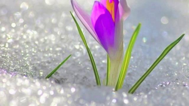 медитация Альберт Игнатенко