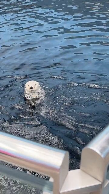 Ну все, пока