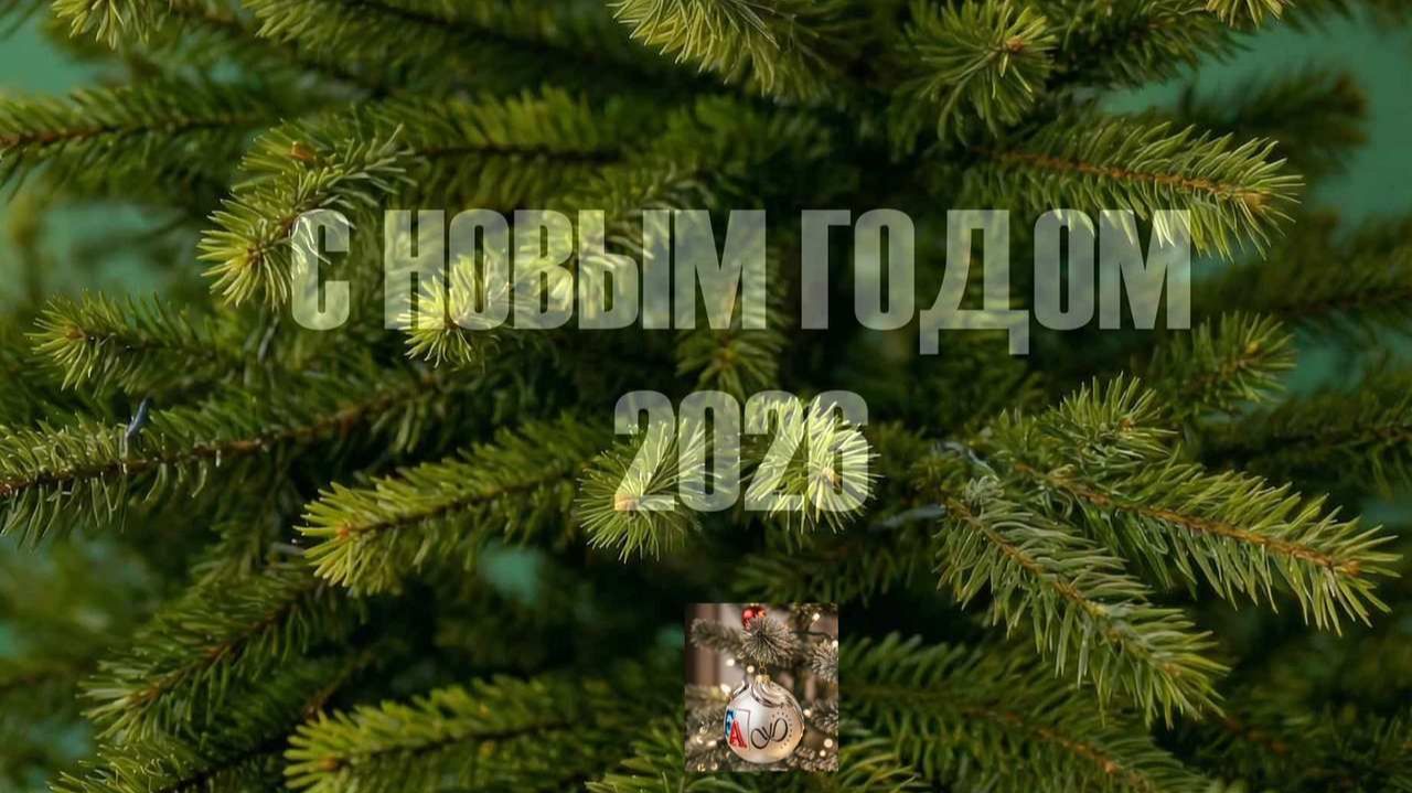 Ёлка с друзьями