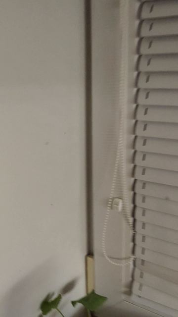 Метеорологи как всегда врут.