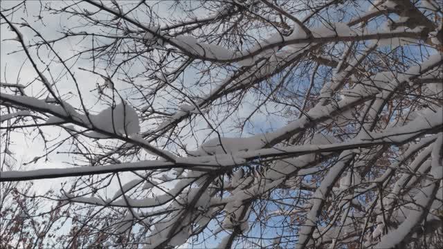 Я опишу этот январь.