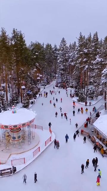 Это видео — знак наконец надеть коньки и выйти на зимний каток