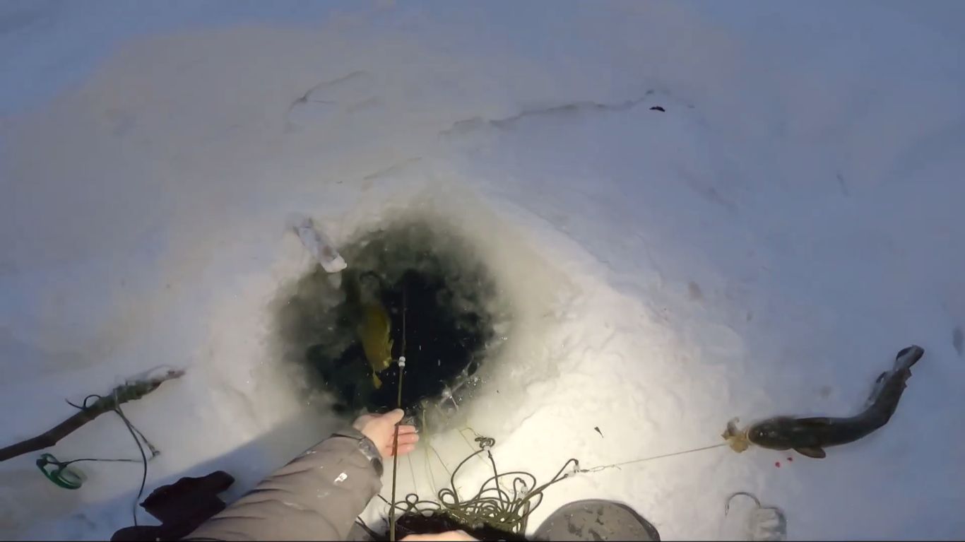 Рыбалка у чëрной дыры. Ловля налима. Тридцать первая серия.