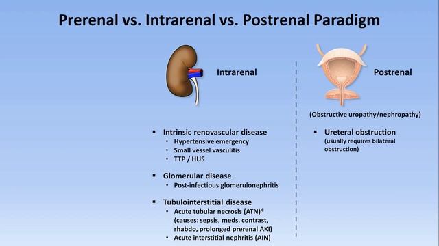 Acute Kidney Injury (part 1-3 Definitions and Etiologies) Eric Strong