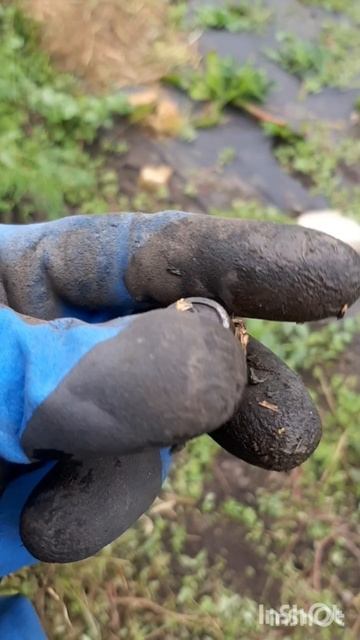 Дом и двор.Сборник интересных моментов на эту тему.Фильм10.Серия3.Часть3