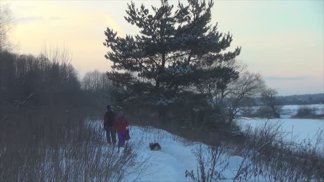 ЛуциноЛета 5.01.2023