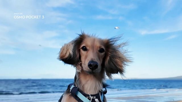 Tiny Moments, Big Smiles   Osmo Nano Cute Recap of 2025 💛✨