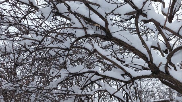 Начался день, начался год.