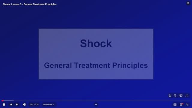 Shock Les 3 - General Treatment Principles Eric Strong