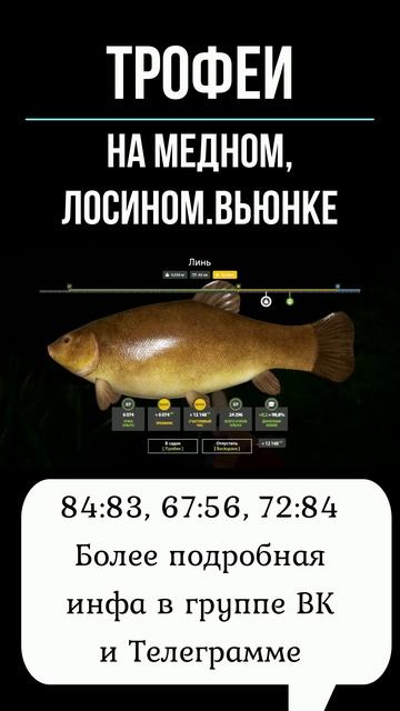 ТОЧКИ ЛОВЛИ ТРОФЕЕВ на МЕДНОМ, ЛОСИНОМ, ВЬЮНКЕ. Russian Fishing 4. рр4
