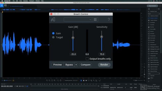06_Voice Issues - De-ess Breath Control