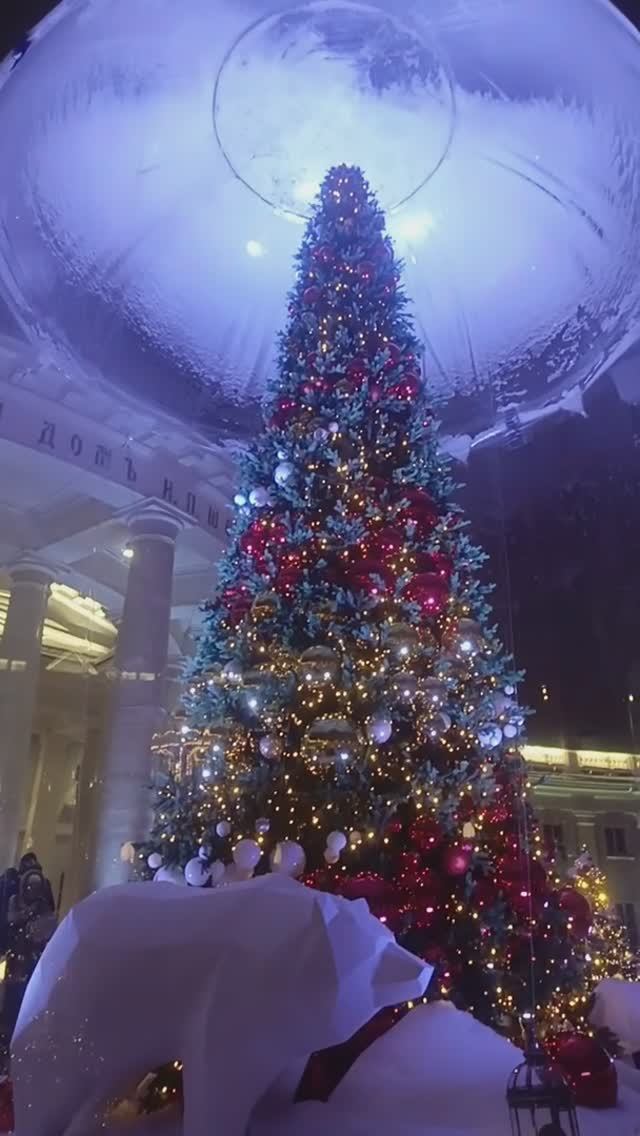 Волшебный парк из новогодних ёлок