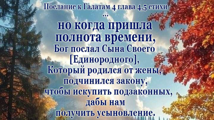 Ежедневное Рождество Христово. С Днём рождения,наш Господь,Спаситель наш. Факты. Личное