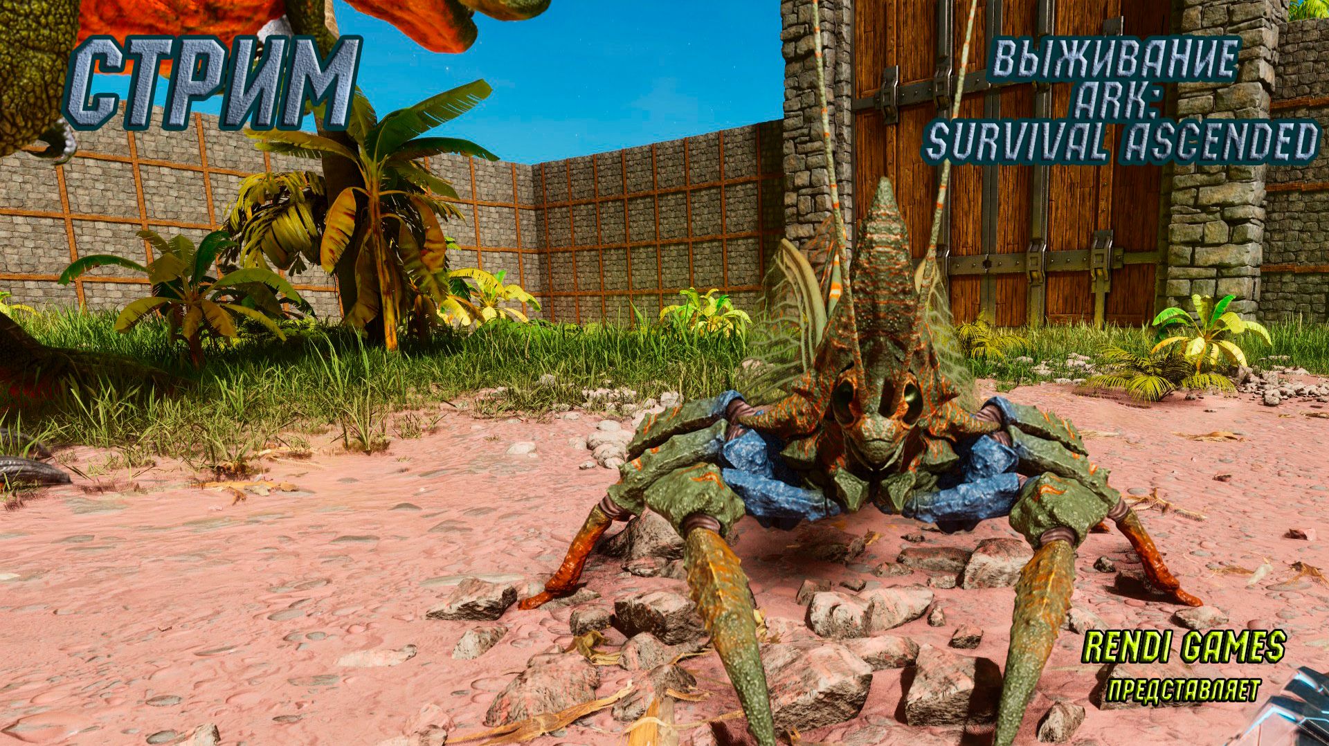 Новое выживание в ARK: Survival Ascended! #4 (Стрим в 2К)