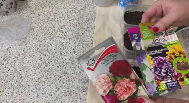 Виола Рококо, Гвоздика садовая Шабо, Колокольчик карпатский. Посев семян 07.01.2026